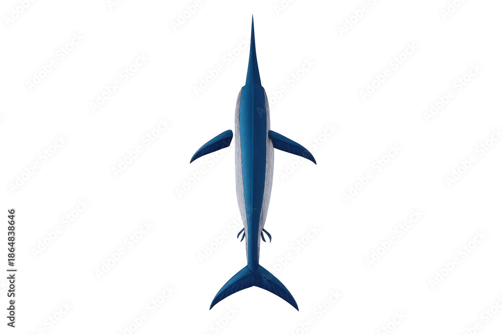 Blue marlin top view isolated on transparent background showing ...