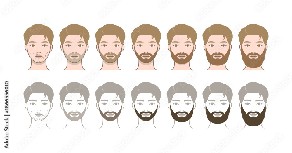 Beard growth progression in illustrated male faces, shown in color and ...