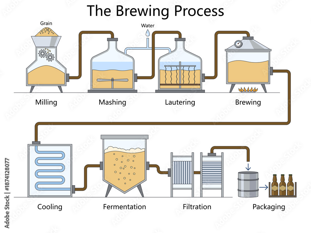 complete beer brewing process, from milling grain to packaging, showing ...