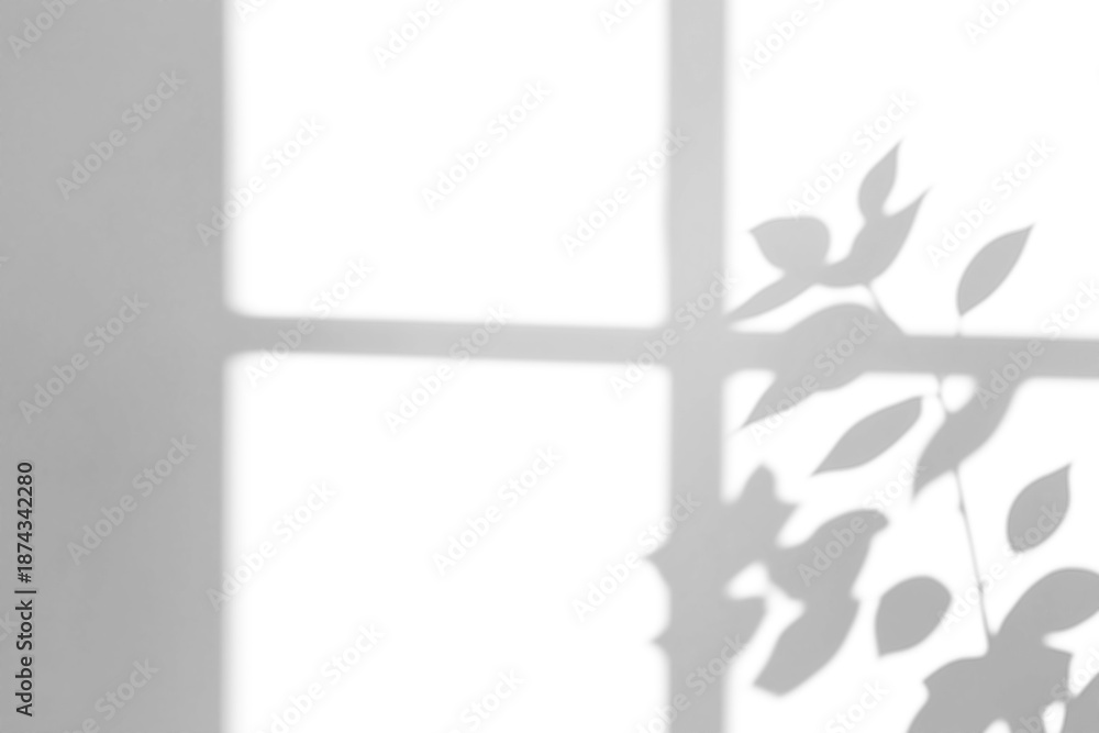 Стоковое фото «branches and windows shadow on white wall,shadow overlay ...