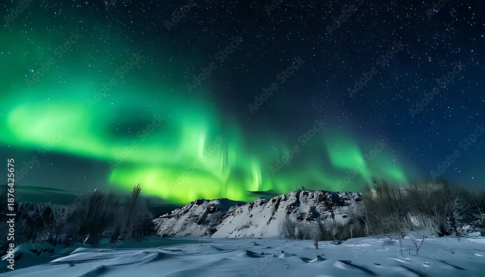 Photo Stock Brilliant green auroras dance across a starry night sky ...