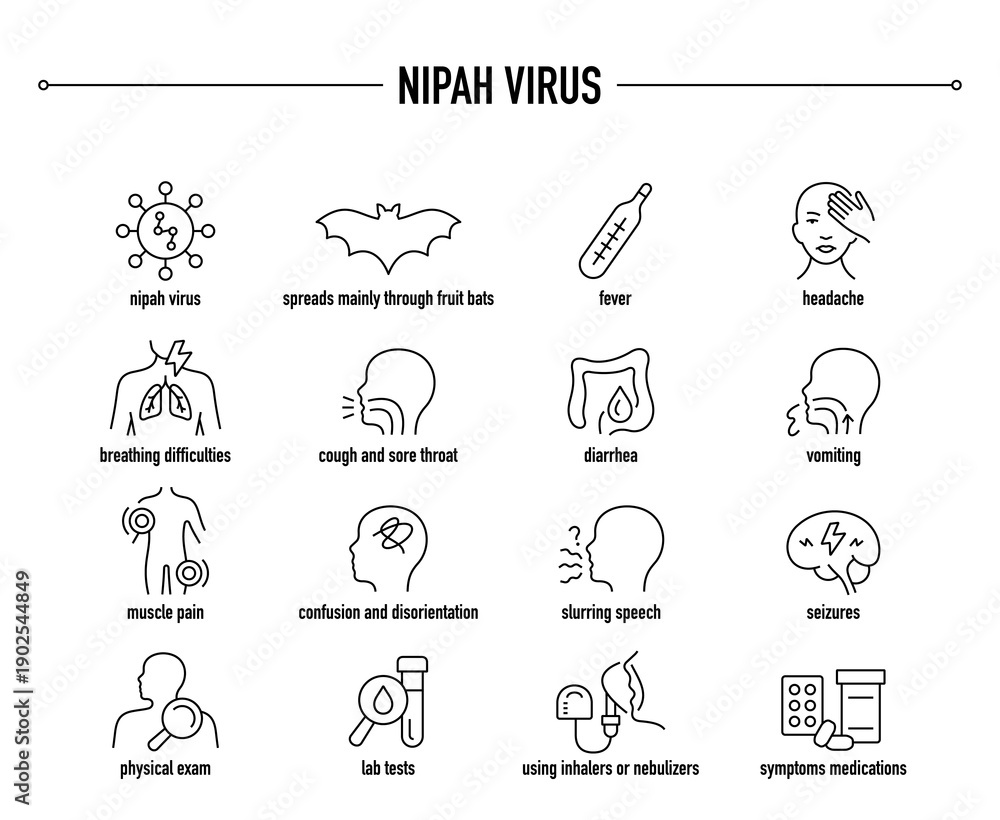 Nipah Virus symptoms, diagnostic and treatment vector icon set Stock ...