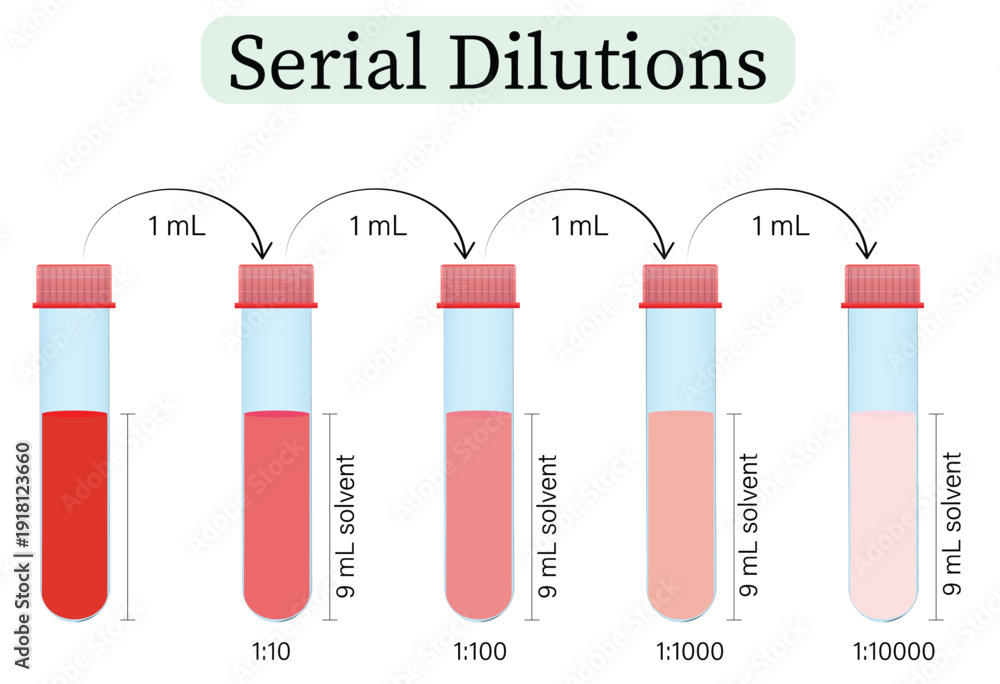 Serial Dilution Diagram Showing Stepwise Laboratory Dilution Process in ...
