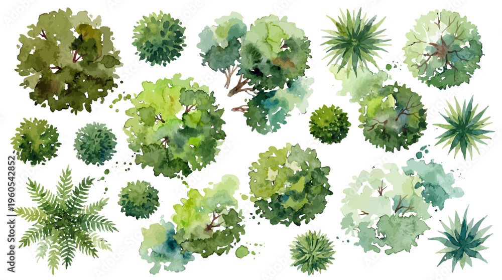 Watercolor Top View Tree Collection For Landscape Design Architecture