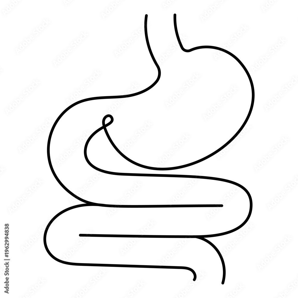 Image vectorielle Stock Digestive System icon, Human Stomach and ...