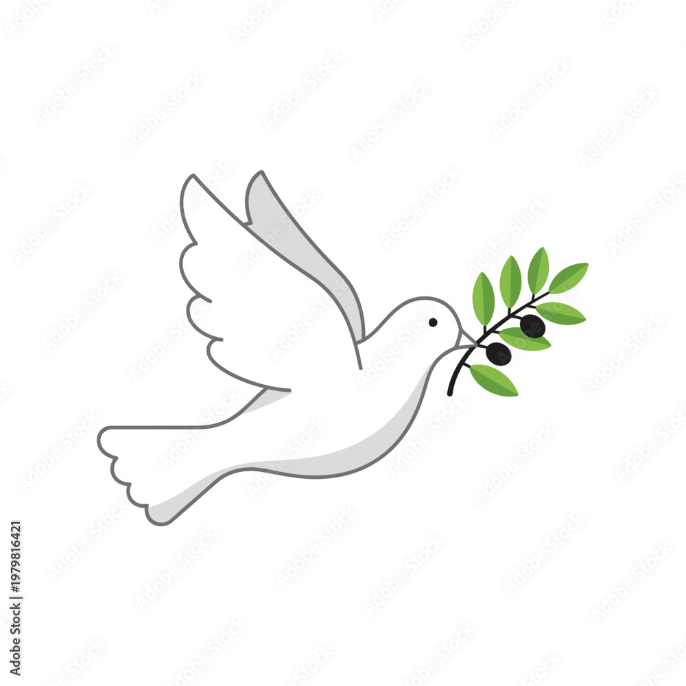 White Dove Flying with Olive Branch, Symbol of Peace and Hope の Stock ...