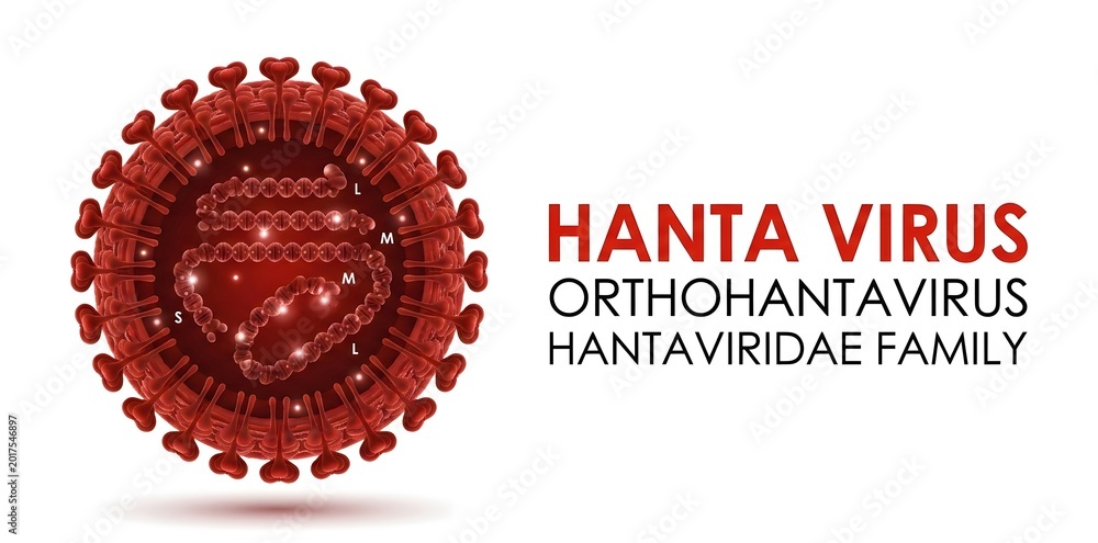 Hantavirus warning graphic featuring a dangerous red pathogen cell 스톡 ...