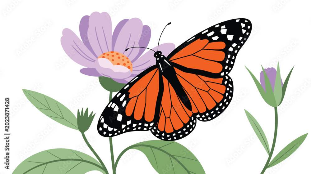 An orange monarch butterfly perches atop a fully bloomed purple flower ...