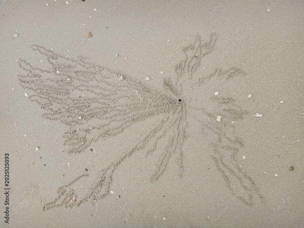 Sand bubbler crab burrow with patterns of sand pellets on the beach ...