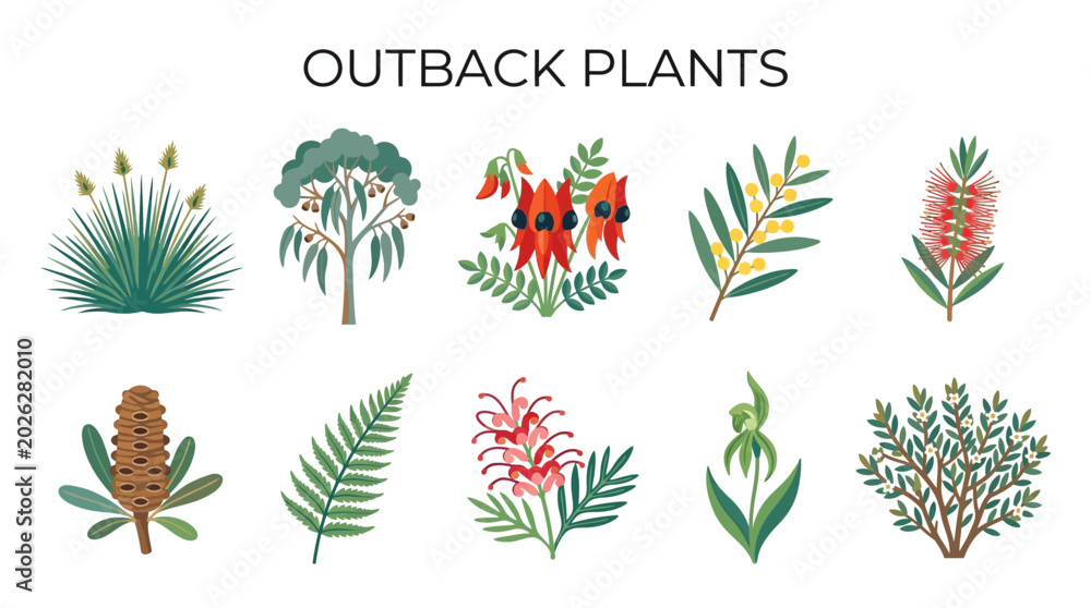Australian Outback Native Plants with Eucalyptus Wattle Bottlebrush and ...