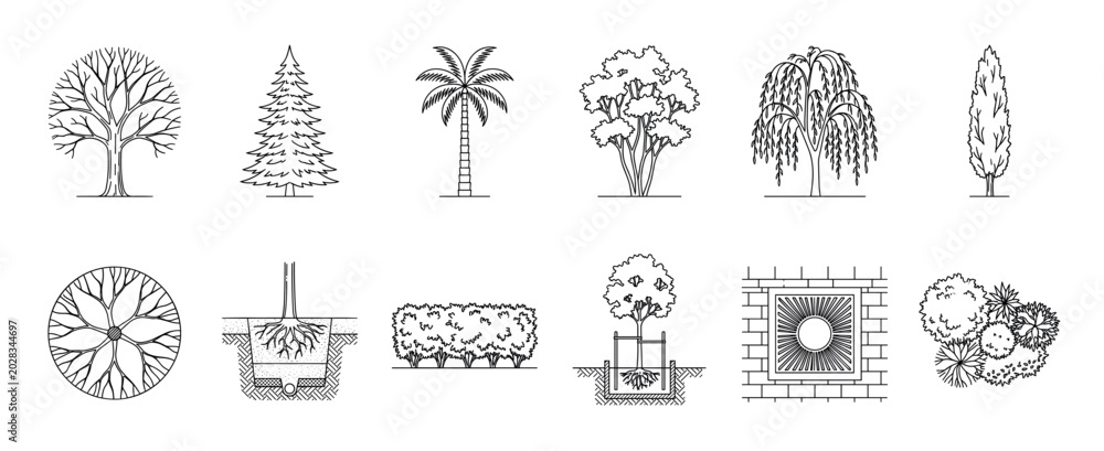 Set of architectural tree and plant symbols for landscape design ...