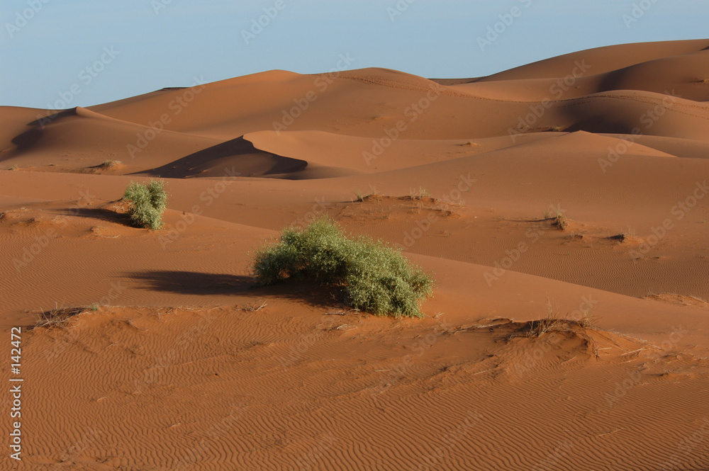 sahara desert Stock Photo | Adobe Stock