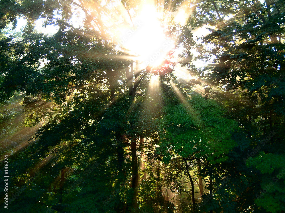 Sun Rain Shower