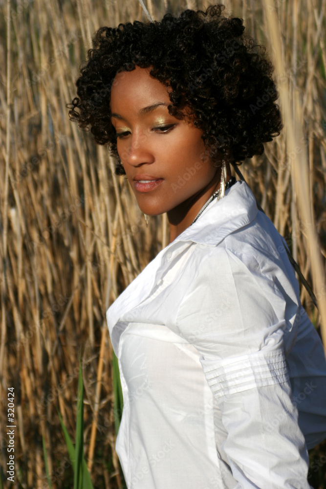 black model wearing beatiful dress standing in the field Stock Photo ...