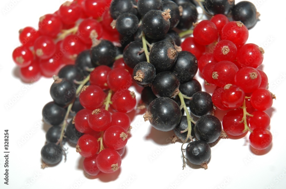 50％割引上等な Cassis Rouge 画材 アート用品-OTA.ON.ARENA.NE.JP