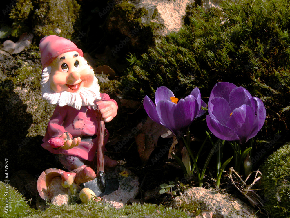 nain de jardin Stock Photo | Adobe Stock