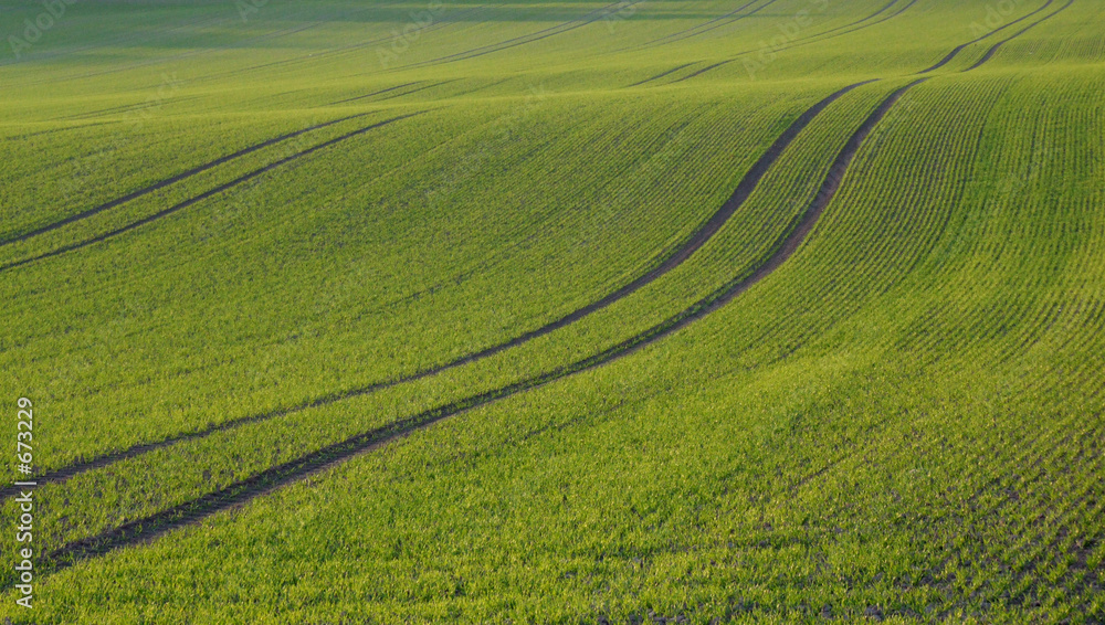 feld Stock-Foto | Adobe Stock