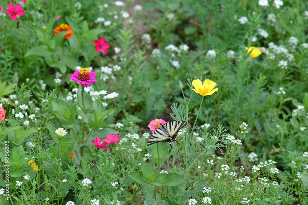nature Stock Photo | Adobe Stock