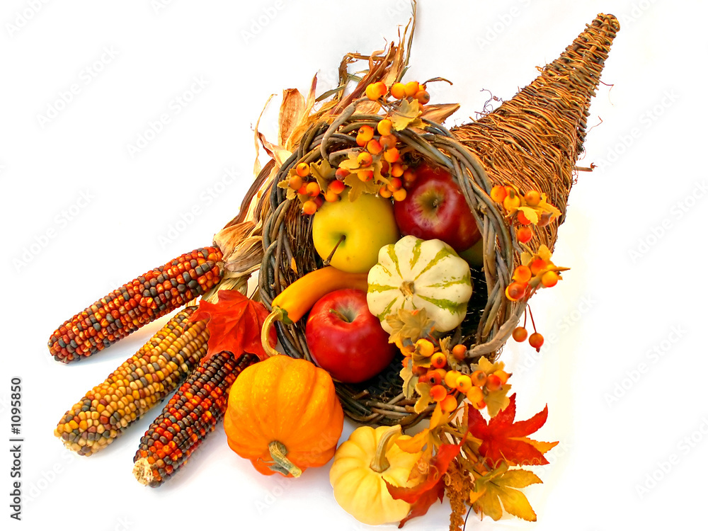 thanksgiving fall autumn cornucopia Stock Photo | Adobe Stock