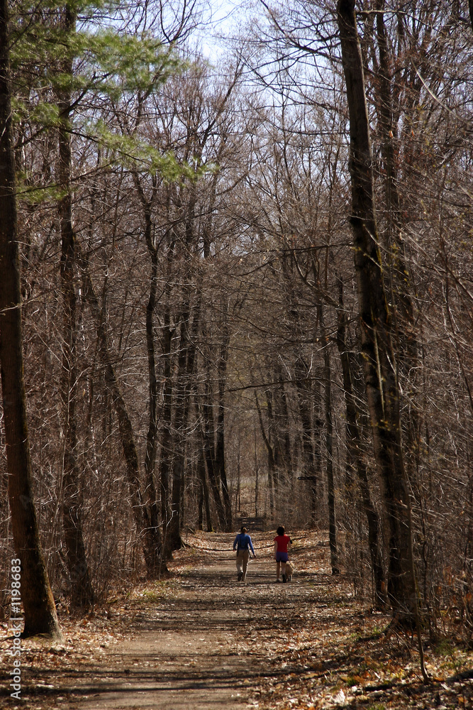 nature walk. Stock Photo | Adobe Stock