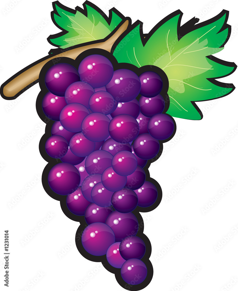 grappe de raisin Illustration Stock | Adobe Stock