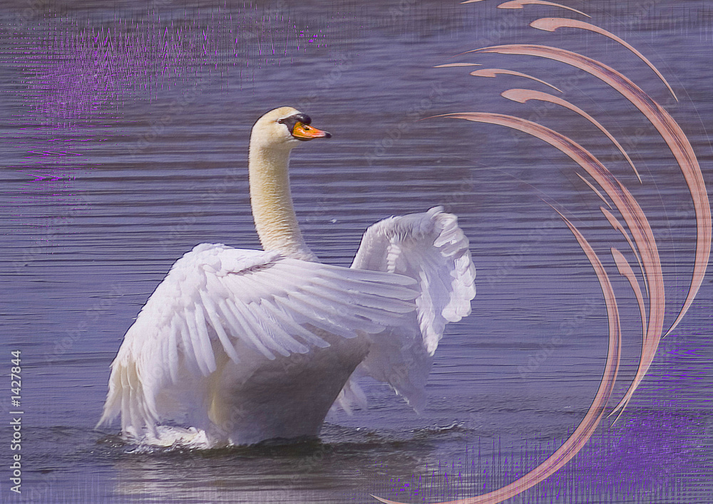 cygne artistique Stock Photo | Adobe Stock