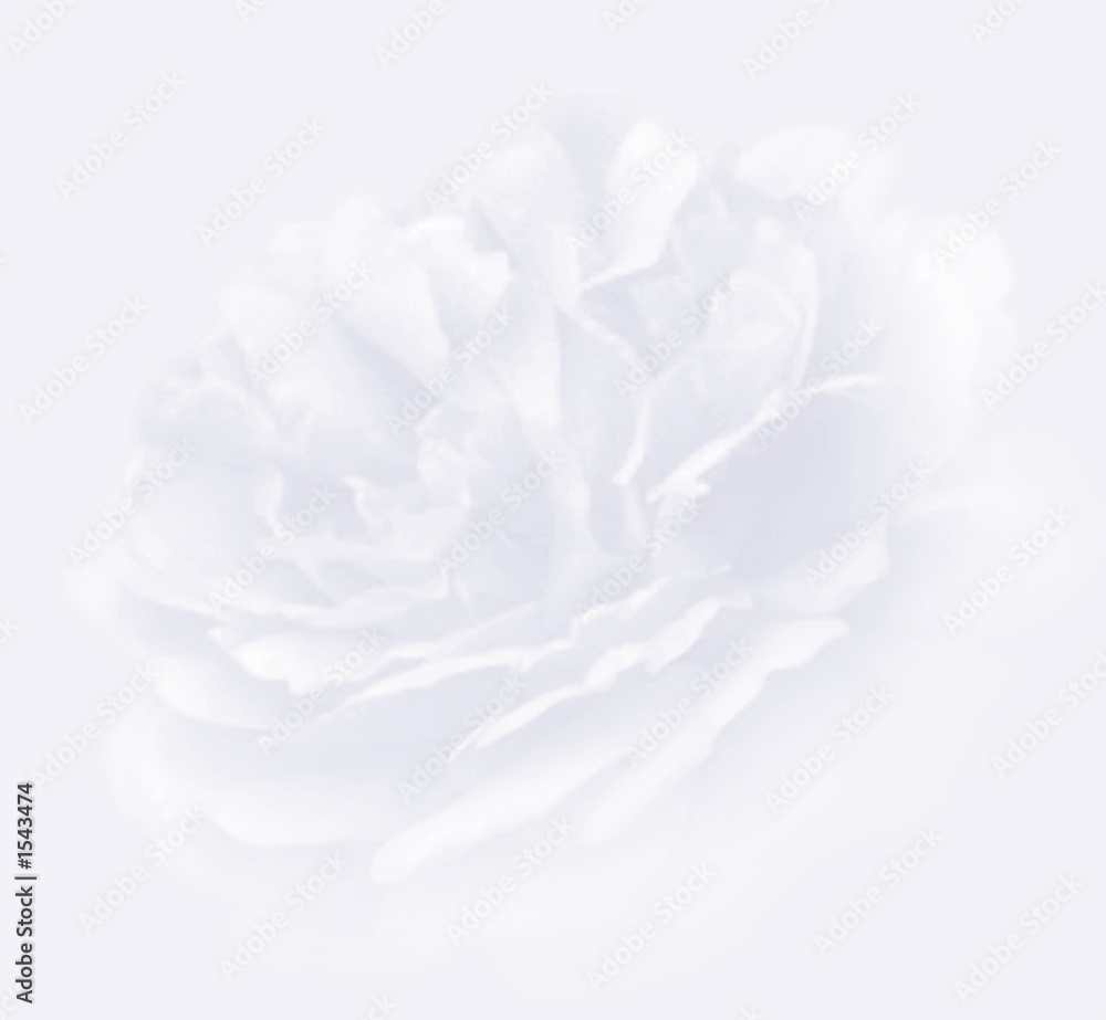 Faded Floral Backgounds