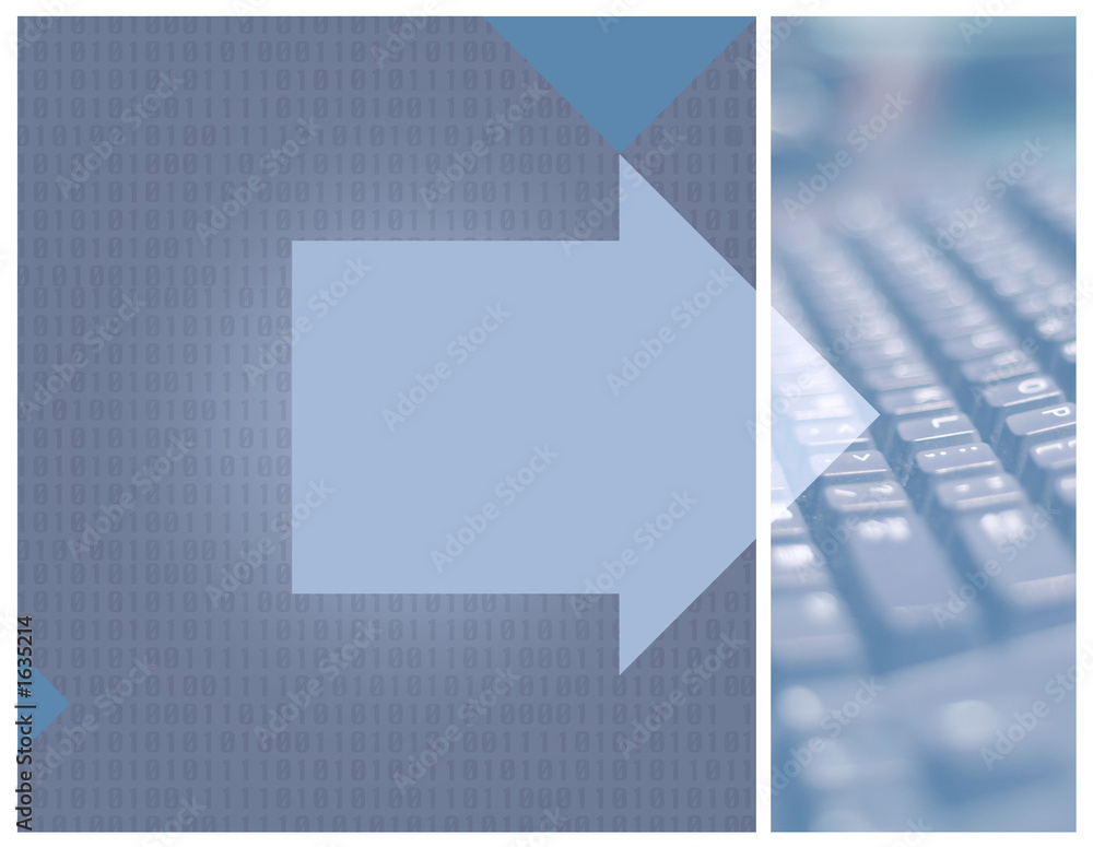 data entry Stock Illustration | Adobe Stock