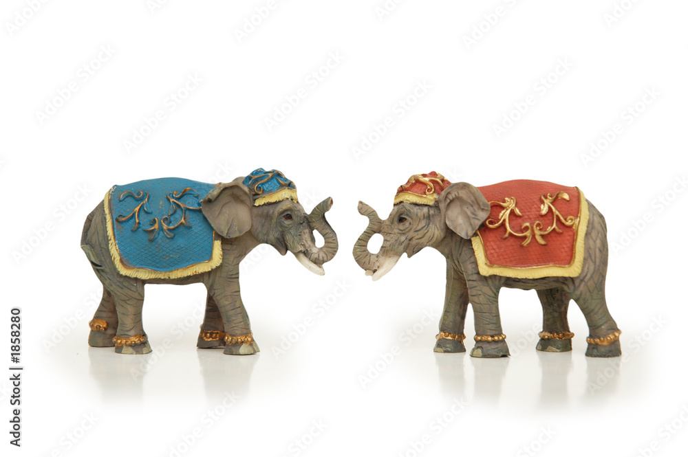 two elephants facing each other isolated on white Stock Photo | Adobe Stock