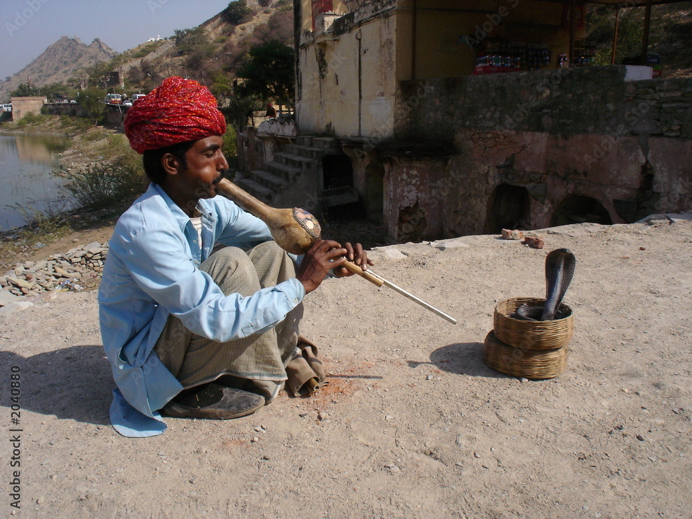 snake charmer Stock Photo | Adobe Stock