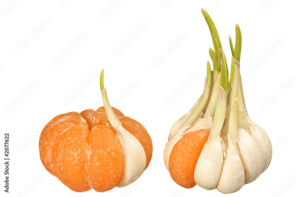 Similarity Photography