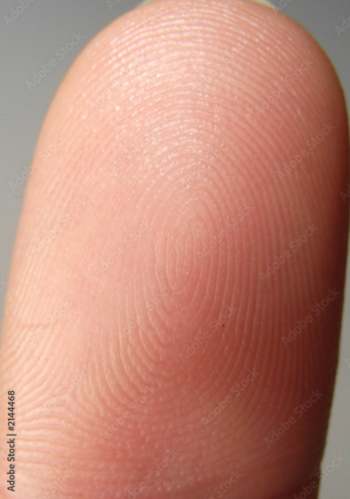 dessin papillaire Stock Photo | Adobe Stock