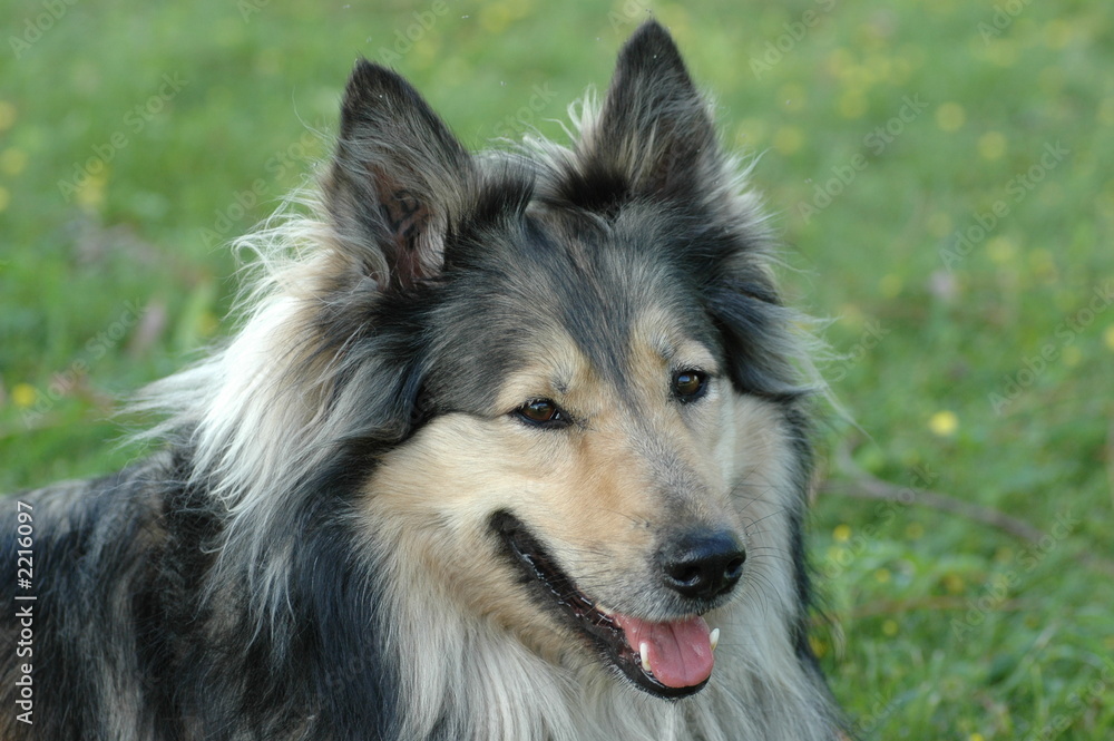 Foto Stock lessy | Adobe Stock