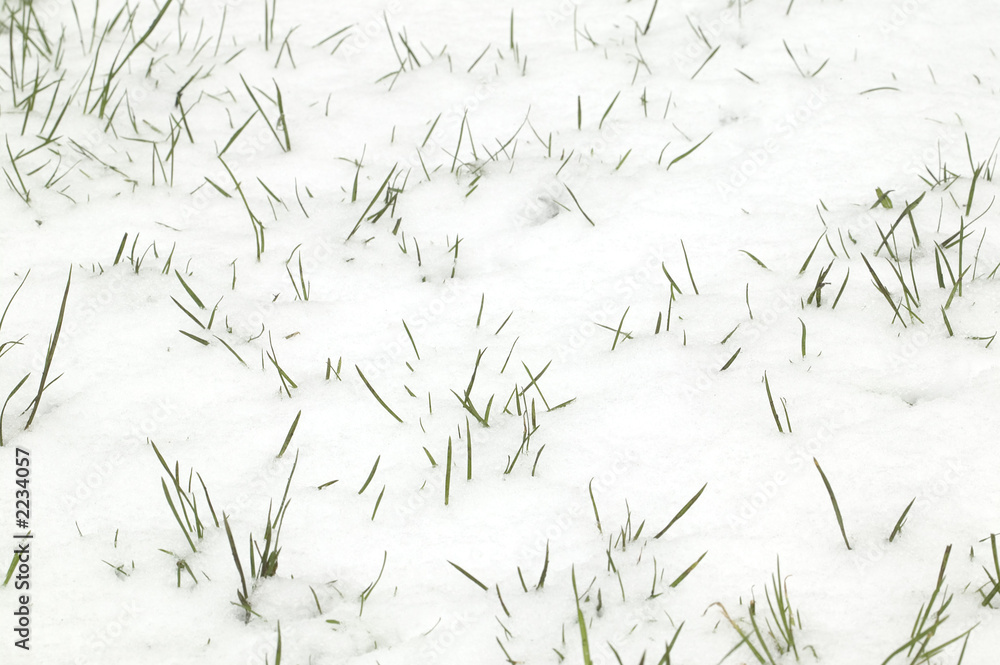 snow grass background Stock Photo | Adobe Stock