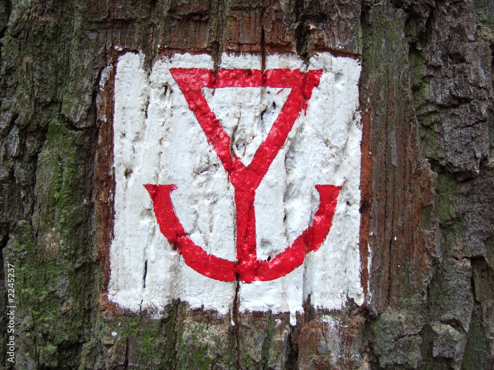 anker Stock Photo | Adobe Stock