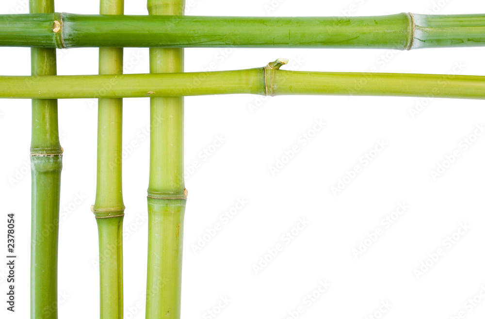 bamboo borders Stock Photo | Adobe Stock