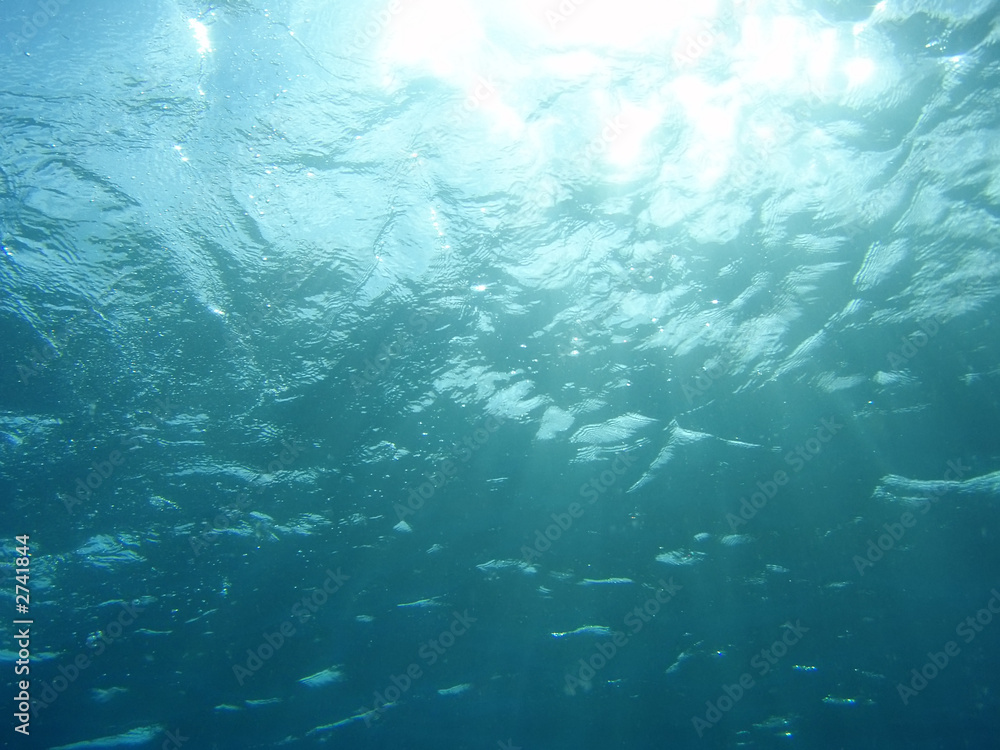 Underwater Looking Up