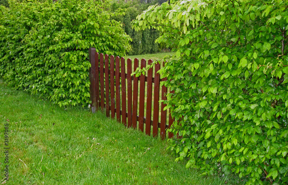 gartenzaun Stock Photo | Adobe Stock