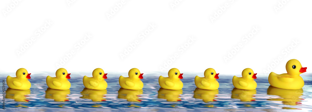 rubber ducks Stock Photo | Adobe Stock