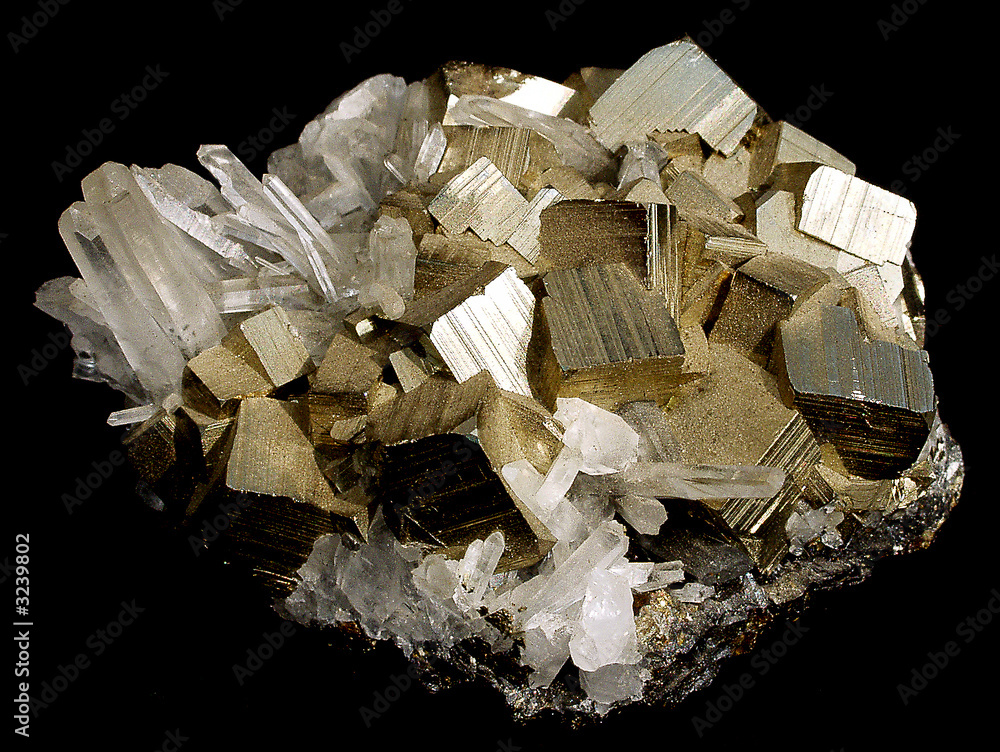 katzengold Stock-Foto | Adobe Stock