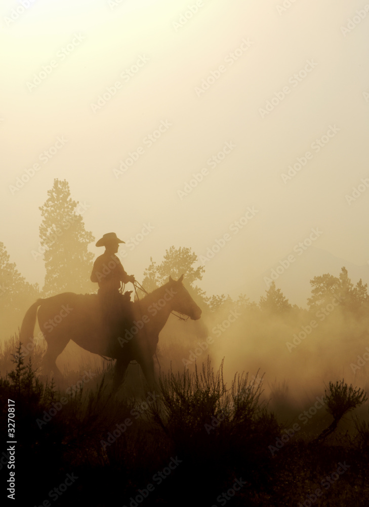 cowboy silhouette Stock Photo | Adobe Stock