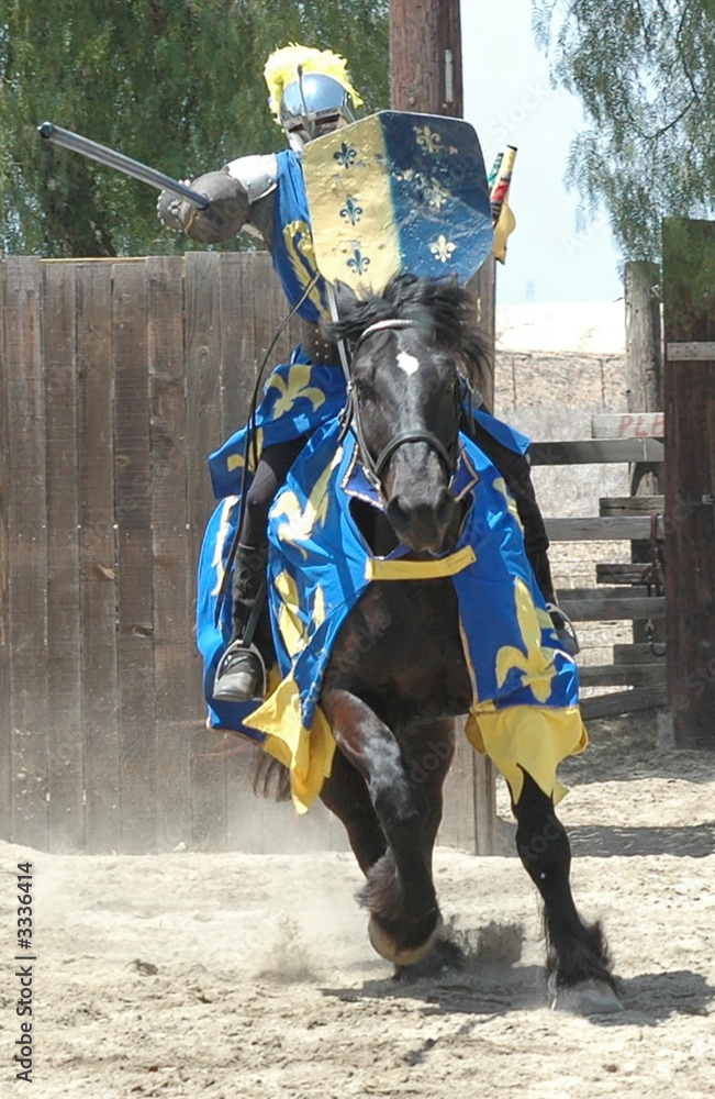 Knight Charging Horse