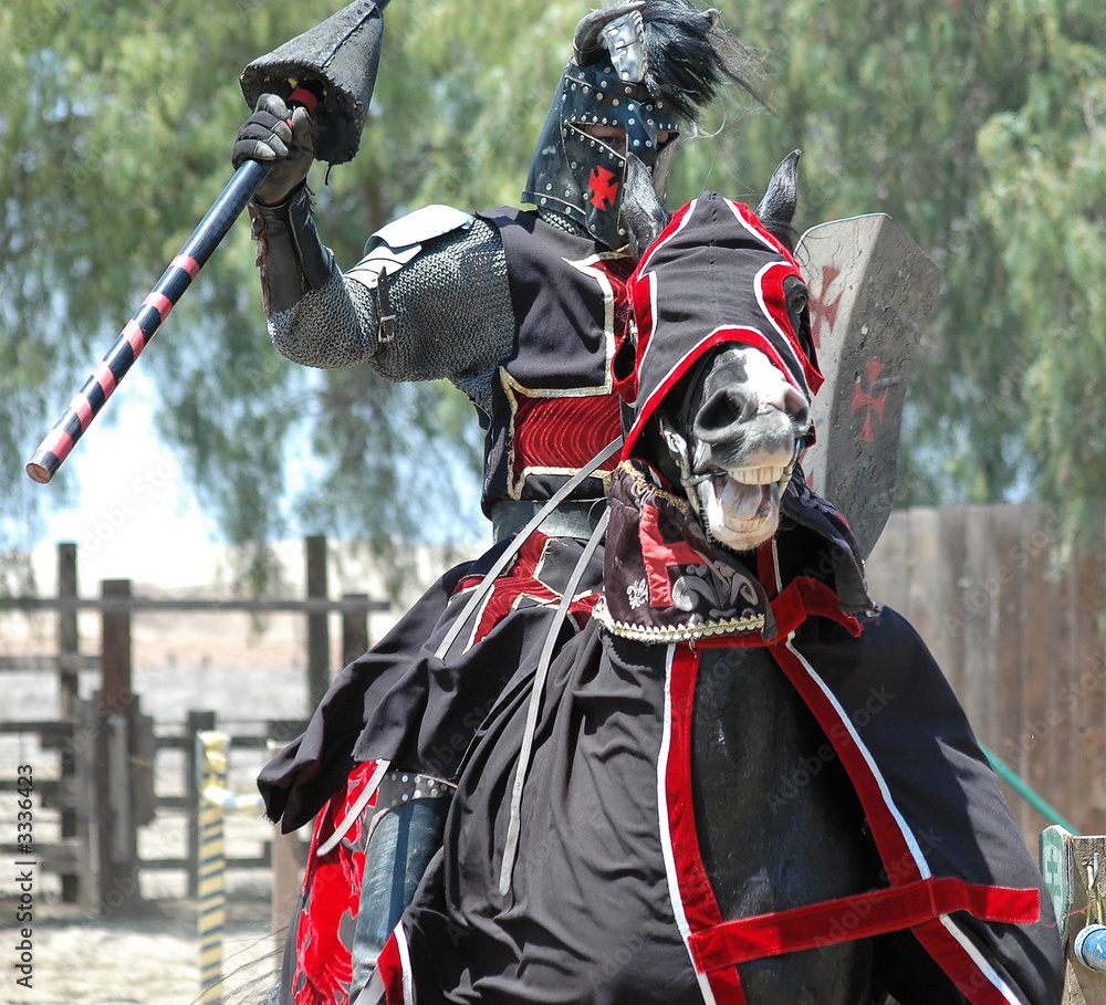 knight & charging horse Stock Photo | Adobe Stock