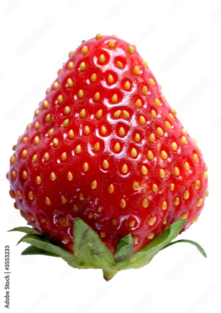 fraise détourée Photos | Adobe Stock