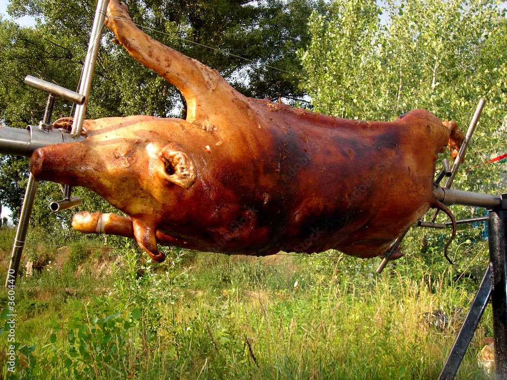 Pig concept Stock Photo | Adobe Stock