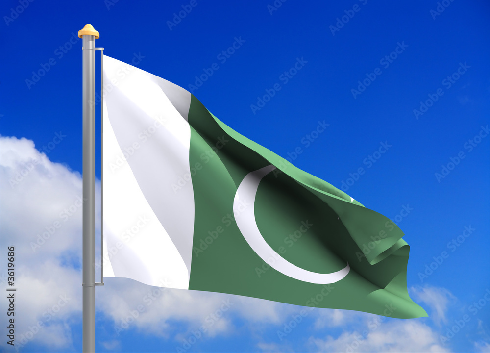 Pakistan flag (include clipping path) Stock Illustration | Adobe Stock