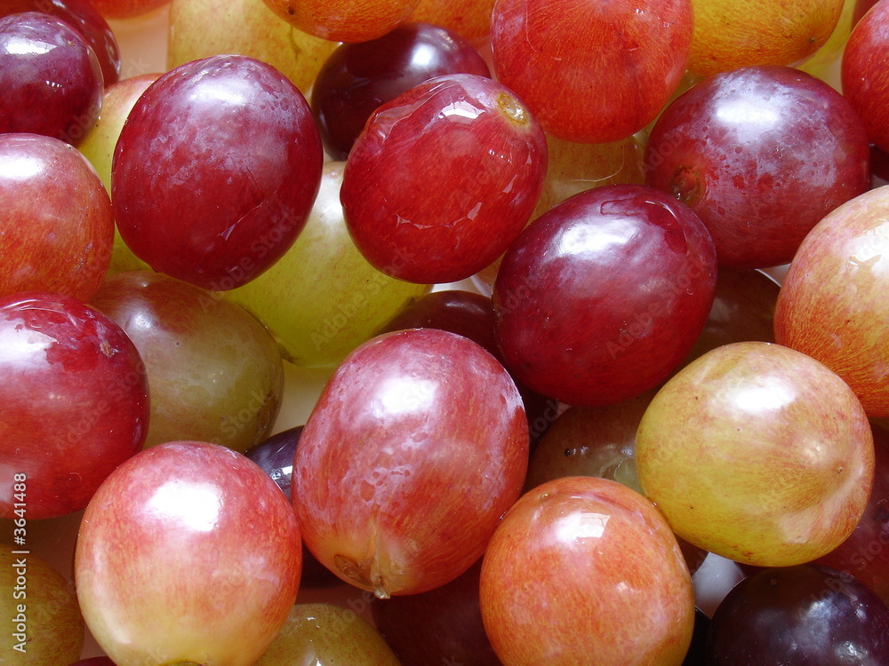 uvas rojas Stock Photo | Adobe Stock