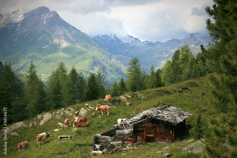 Almhütte Stock-Foto | Adobe Stock