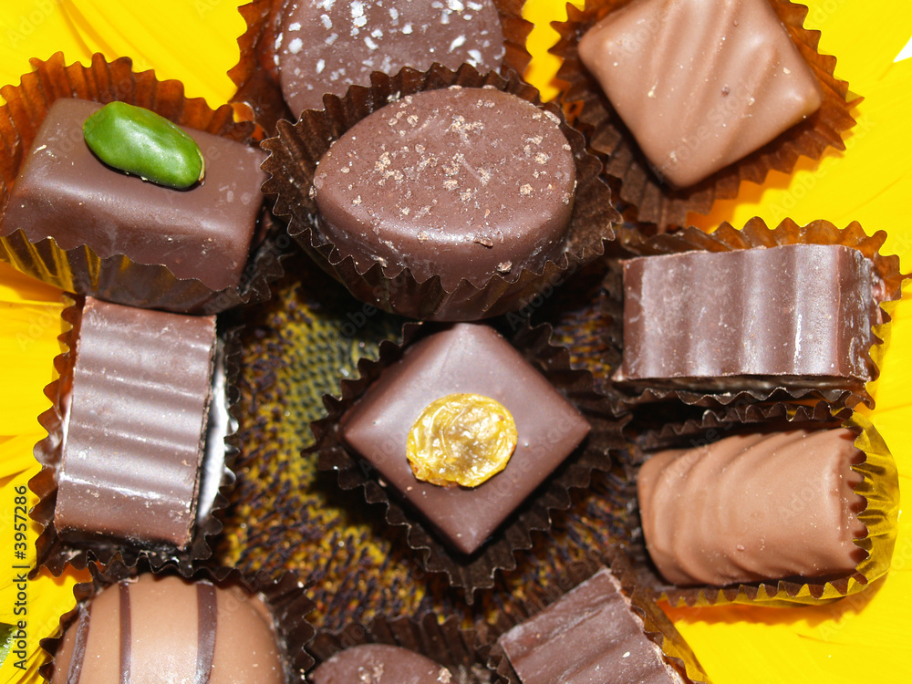 chocolat suisse Photos | Adobe Stock