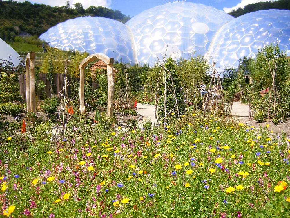 The Eden Project - Wildflower Garden Stock Photo | Adobe Stock